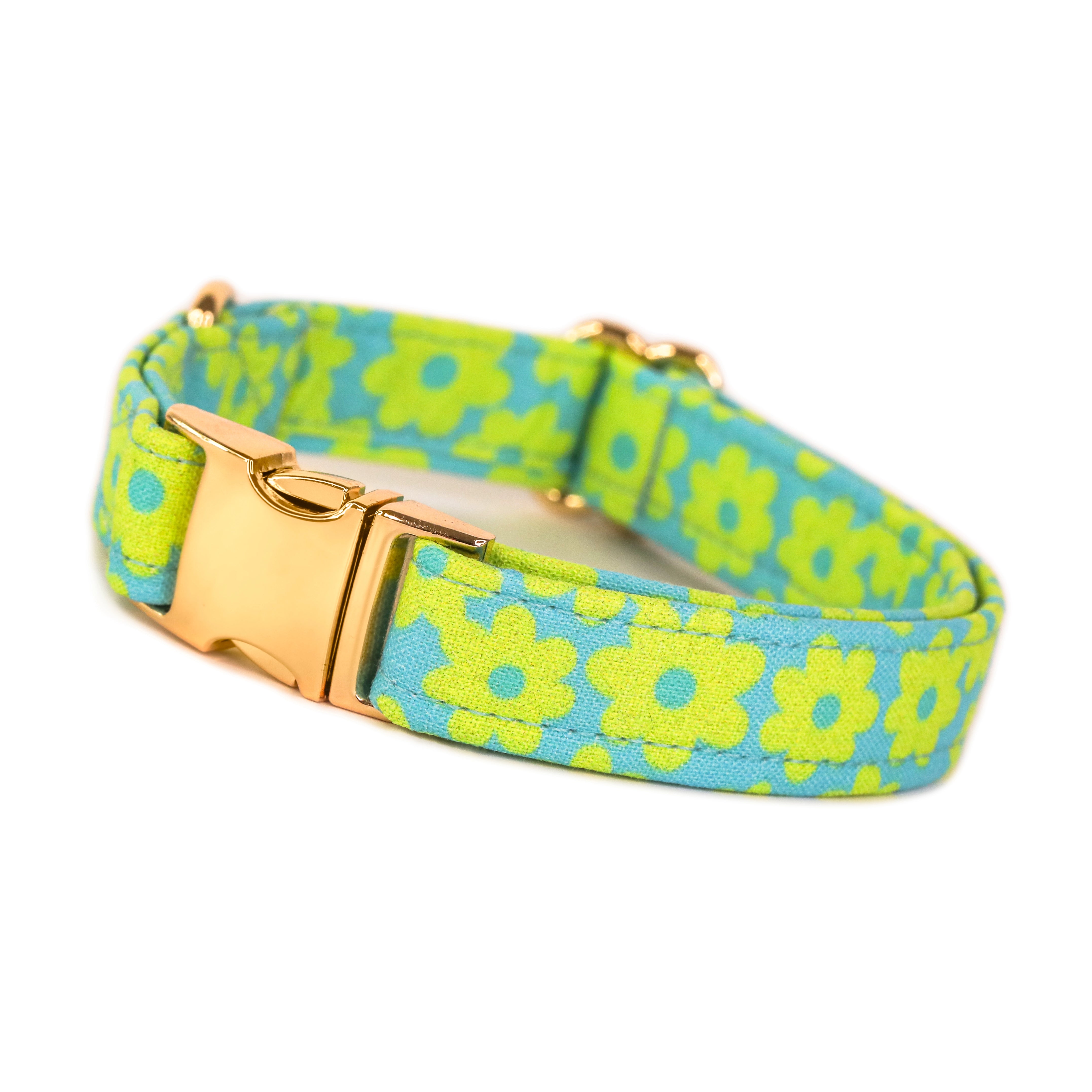 Lizzie - Lime Green Daisy Dog Collar – Piper Blue Pawtique